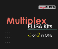 M1/M2 Cytokine Multiplex ELISA Kits for your research - News - Company ...