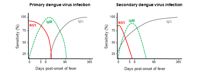 Tools for studying Dengue Virus - Company - arigo Biolaboratories