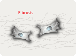 Antibody Panels - Company - arigo Biolaboratories