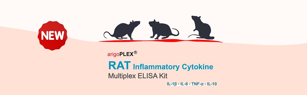 Rat Inflammatory Cytokine Multiplex ELISA Kit for in vivo screening ...