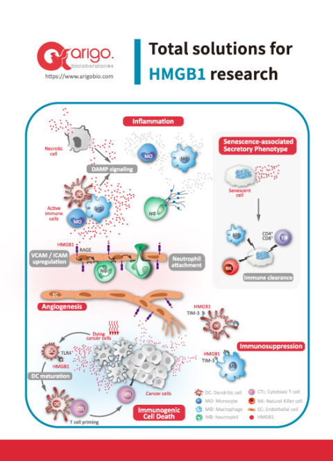Library - Science - arigo Biolaboratories