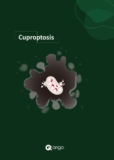 Library - Science - arigo Biolaboratories