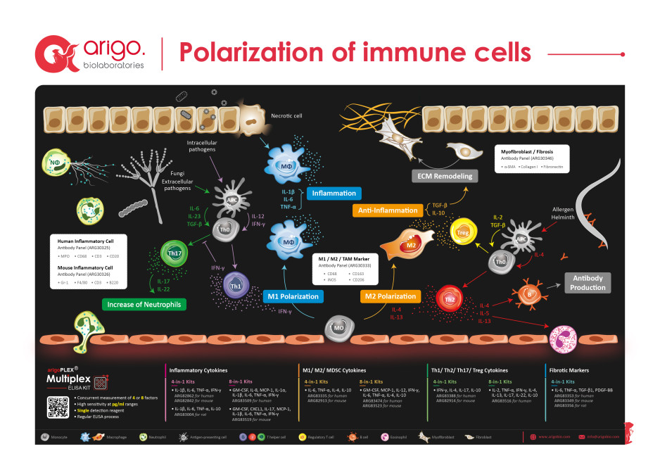 Library - Science - arigo Biolaboratories