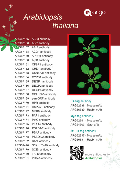Library - Science - arigo Biolaboratories