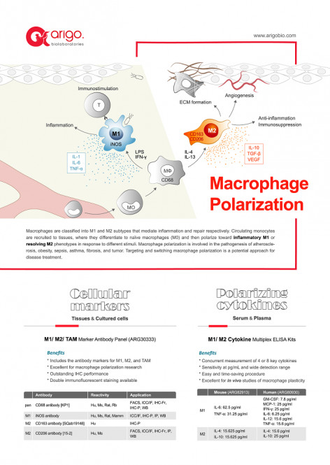 Library - Science - arigo Biolaboratories