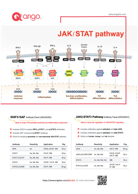Library - Science - arigo Biolaboratories