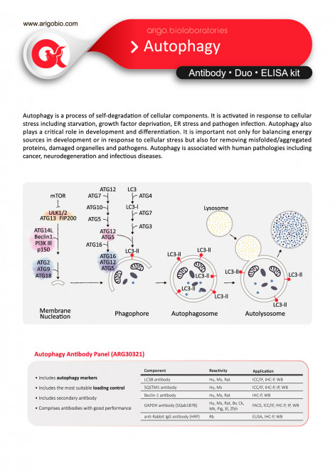 Library - Science - arigo Biolaboratories