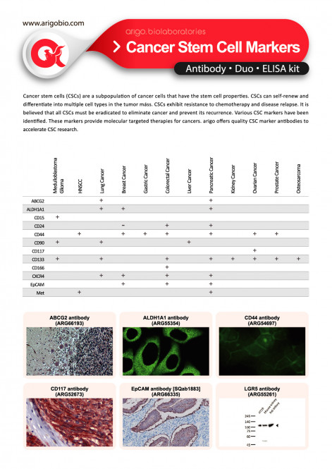 Library - Science - arigo Biolaboratories