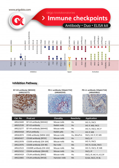 Library - Science - arigo Biolaboratories