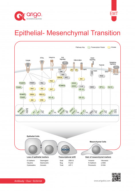 Library - Science - arigo Biolaboratories