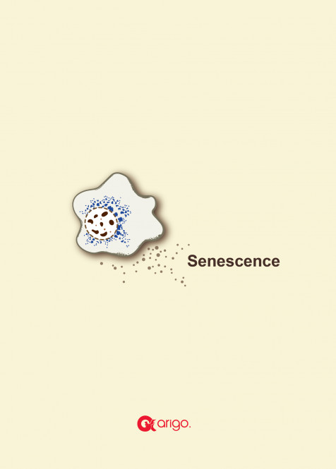 Library - Science - arigo Biolaboratories
