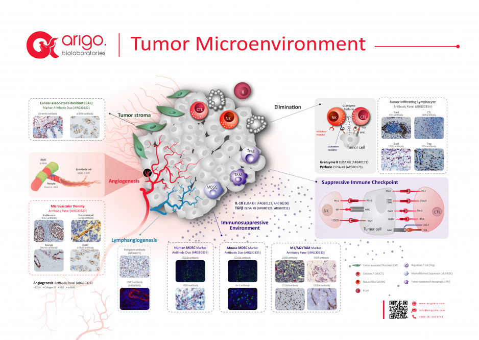 Library - Science - arigo Biolaboratories