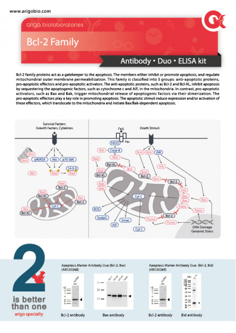Library - Science - arigo Biolaboratories