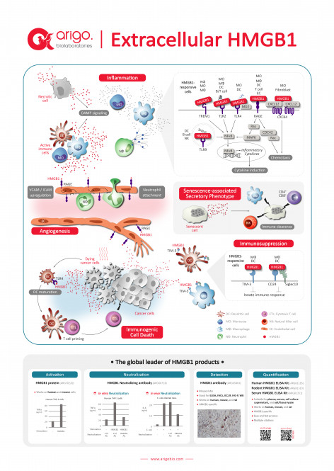 Library - Science - arigo Biolaboratories