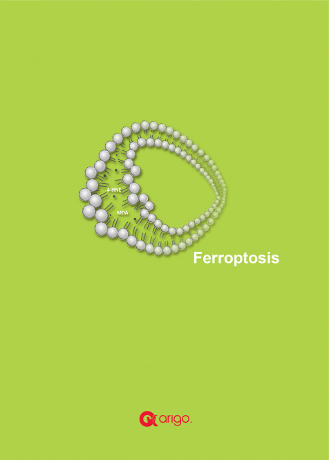 Library - Science - arigo Biolaboratories