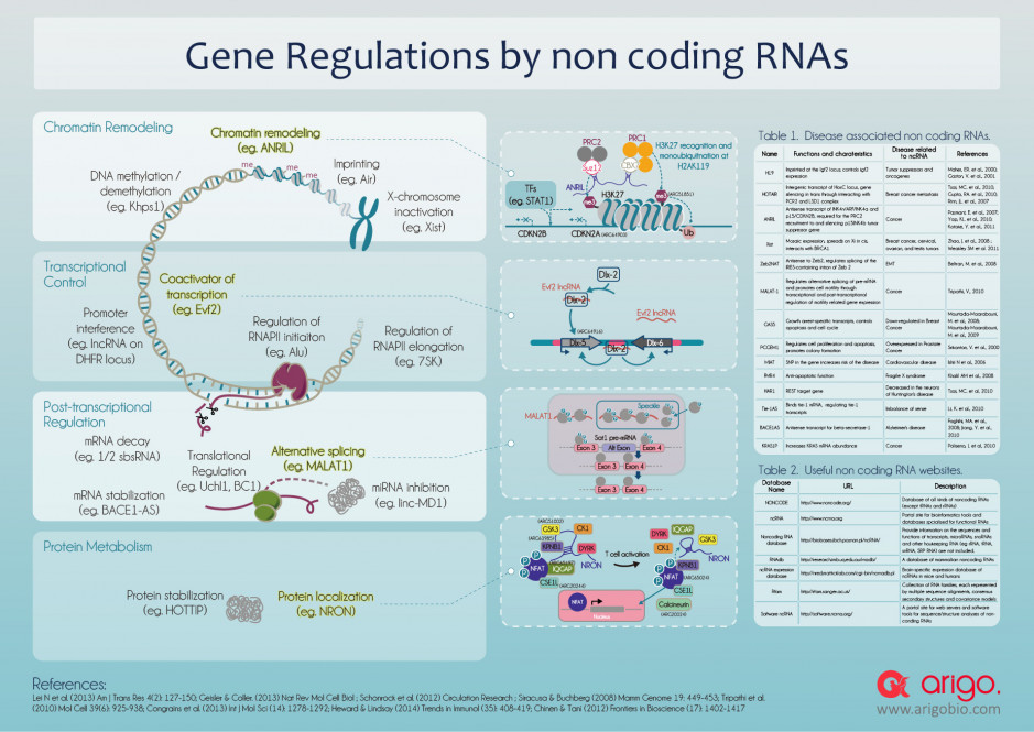 Library - Science - arigo Biolaboratories