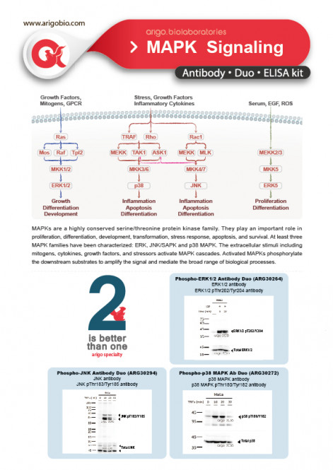 Library - Science - arigo Biolaboratories