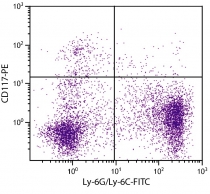 anti-CD117 c-Kit antibody [2B8] (PE) (ARG21049) - arigo Biolaboratories