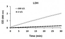 Lactate Dehydrogenase Assay Kit (ARG81352) - arigo Biolaboratories