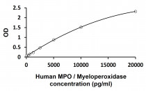 Human MPO Myeloperoxidase ELISA Kit (ARG82072) - arigo Biolaboratories