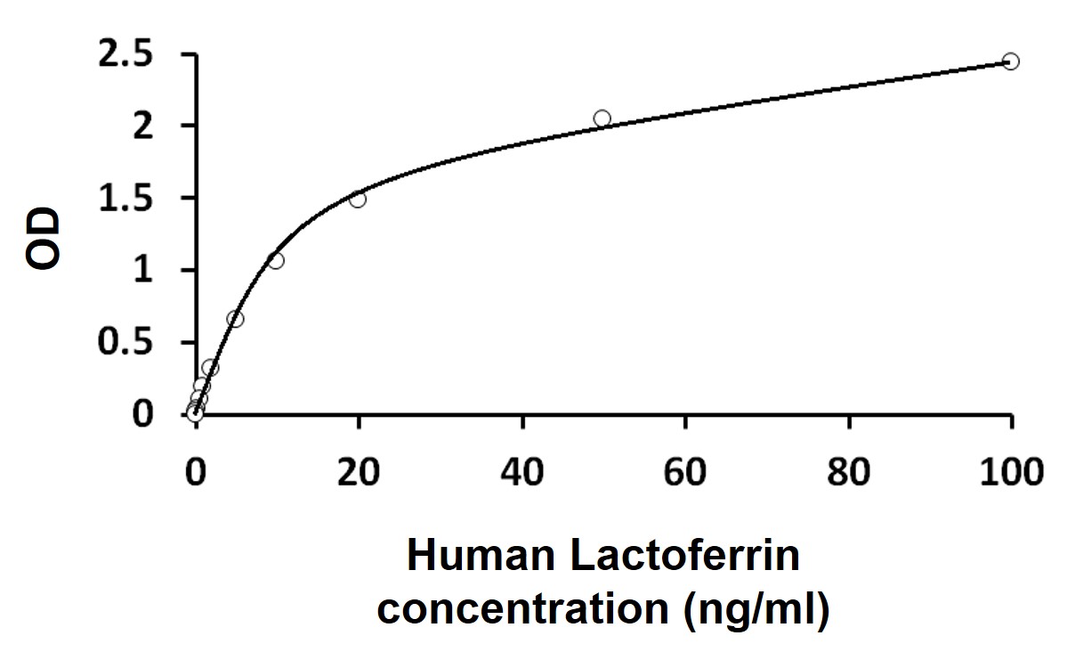 Human Lactoferrin ELISA Kit (ARG82244) - arigo Biolaboratories