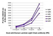 Goat anti-Human Lambda Light Chain antibody (PE), pre-adsorbed (ARG24068) - arigo Biolaboratories