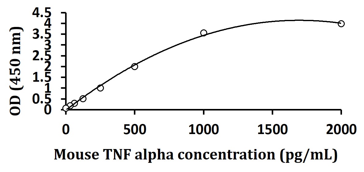 Mouse TNF alpha ELISA Kit (ARG82989) - arigo Biolaboratories