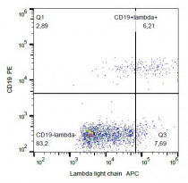 Mouse anti-Human Lambda Light Chain antibody [4C2] (APC) (ARG53954) - arigo Biolaboratories