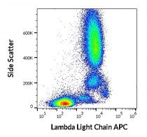 Mouse anti-Human Lambda Light Chain antibody [4C2] (APC) (ARG53954 ...