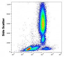 Mouse anti-Human Lambda Light Chain antibody [4C2] (FITC) (ARG63054 ...