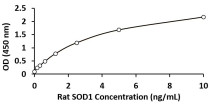 Rat SOD1 ELISA Kit (ARG83815) - arigo Biolaboratories