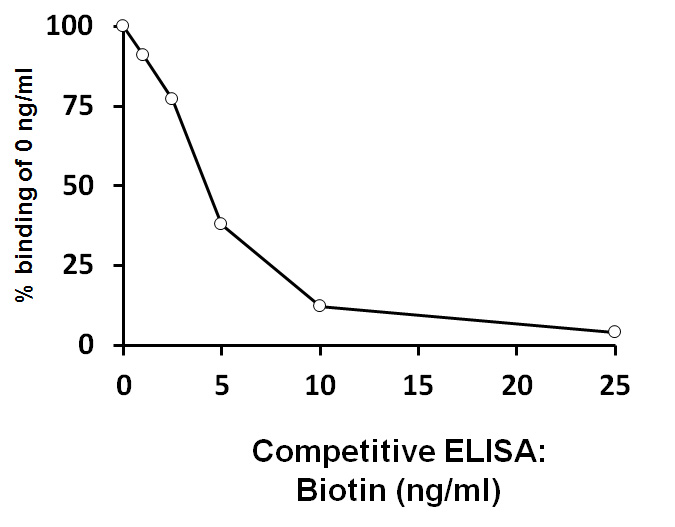 Vitamin H (Biotin) ELISA Kit (ARG80817) - arigo Biolaboratories