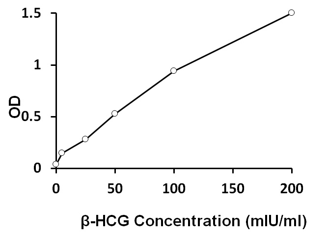 Human beta hCG ELISA Kit (ARG80835) - arigo Biolaboratories