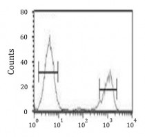 anti-ADH7 antibody (ARG55167) - arigo Biolaboratories